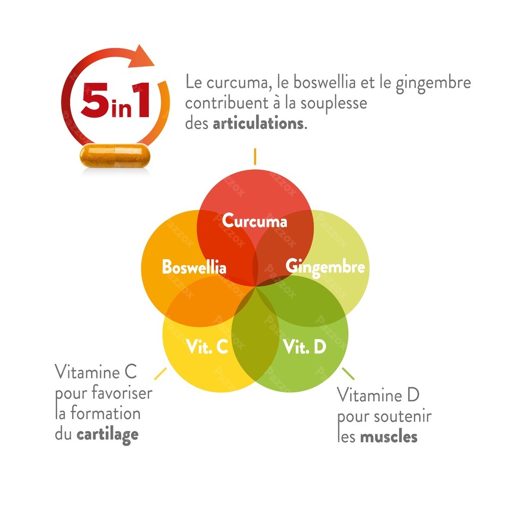 Metagenics Curcudyn Forte 30 Gelules - Pazzox, pharmacie en ligne Metagenics Curcudyn Forte 30 Gelules - Pazzox, pharmacie en ligne