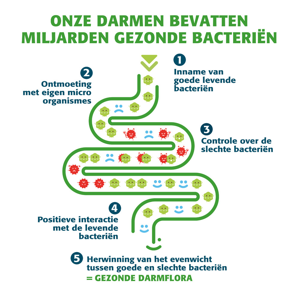 Bactiol Baby Druppels 21 porties 5ml kopen - Pazzox, online apotheek